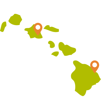 Big Island Candies | Big Island Crunch Bar - Three-Pack